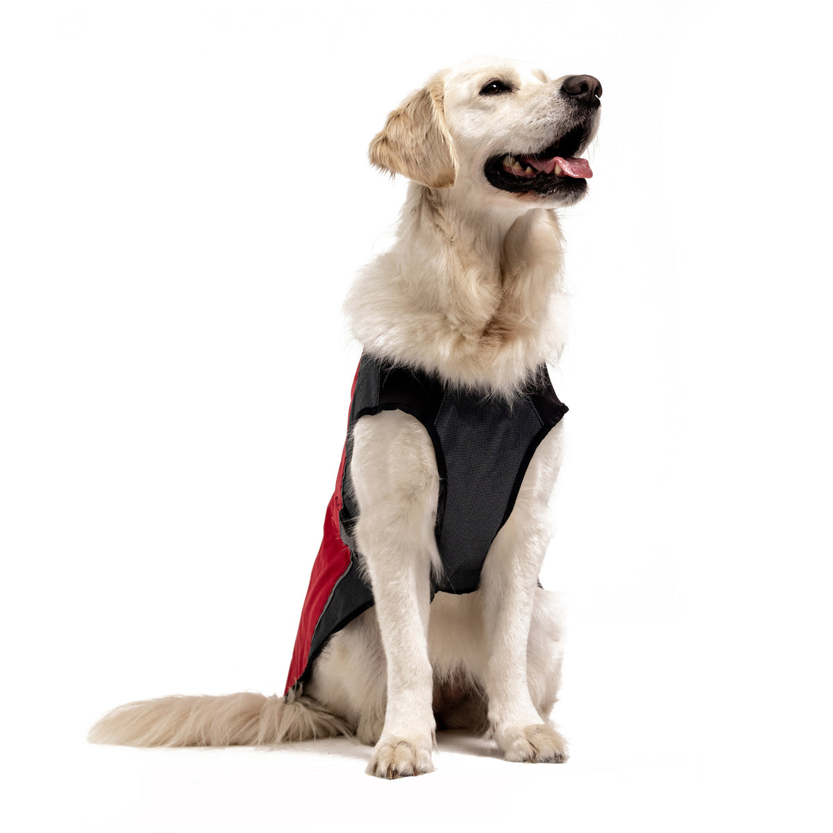 Dog Jacket | Waterproof Dog Jacket | Dog Sun Protection