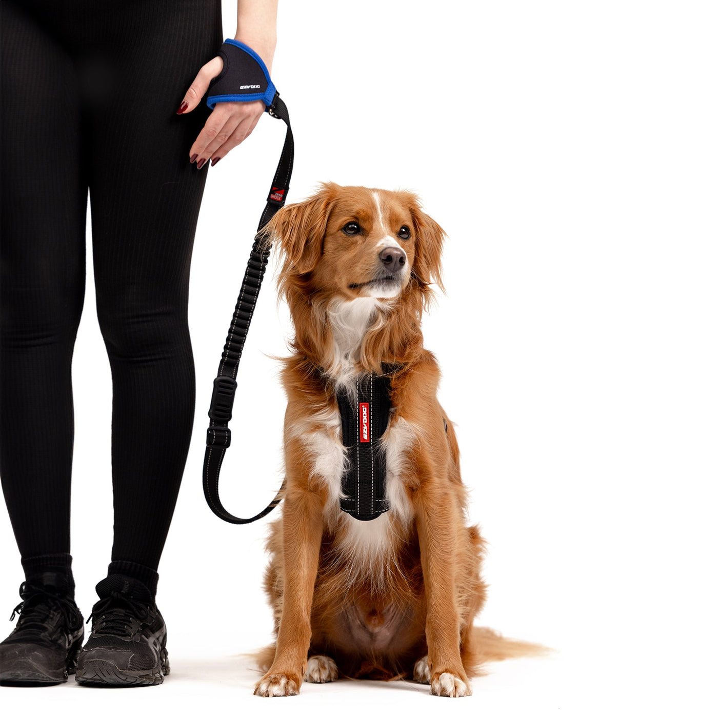Glove Leash | Hands Free Dog Leash | Dog Running Leash