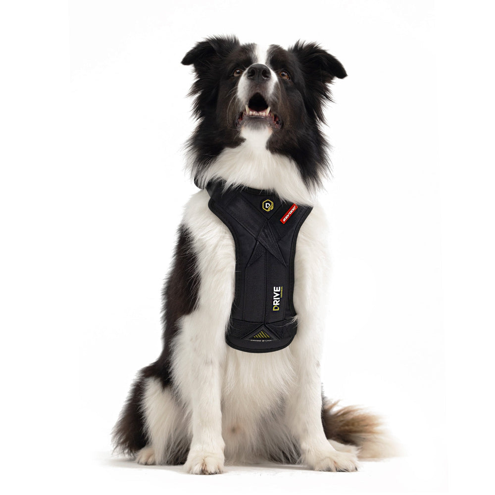 Dog Car Harness | Crash-Tested Step In Dog Harness